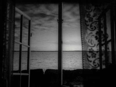 Características e cultivo da Crassula dejecta - PlantaSonya - O seu ...